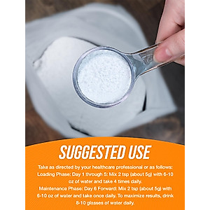 BulkSupplements.com Creatine Monohydrate Powder - Creatine Supplement, Micronized Creatine, Creatine Powder - Unflavored & Gluten Free, 5g (5000mg) per Servings, 500g (1.1 lbs) (Pack of 1)