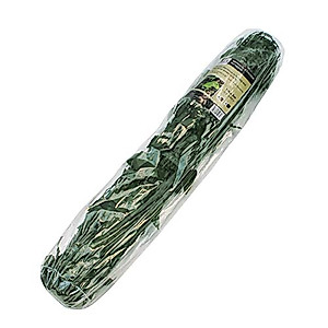 True Products 5056095700856 S1011G Artificial Screening Ivy Leaf 2 Colour Hedge Privacy Garden Fence 1m x 3m, High Long, Green