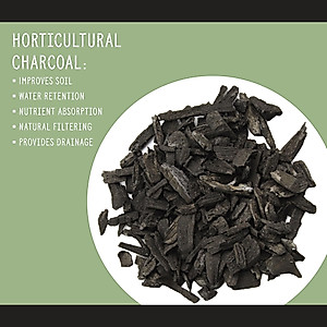 Horticultural Charcoal for Indoor Plants (1 Quart), Hardwood Soil Additive for Orchids, Terrariums, and Gardening