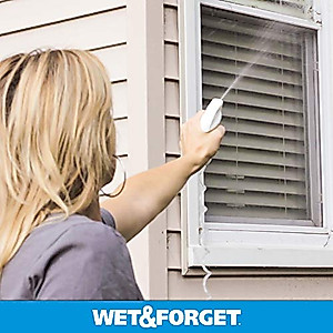 Wet and Forget 00041 1/2 Gallon Miss Muffet's Revenge Spider Killer, 2-Pack