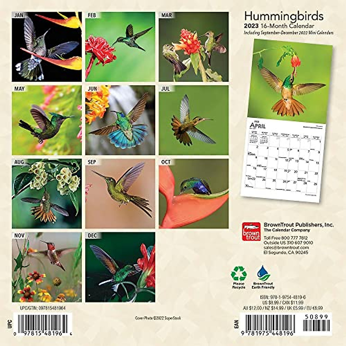 Hummingbirds | 2023 7 x 14 Inch Monthly Mini Wall Calendar | BrownTrout | Animals Wildlife Nature