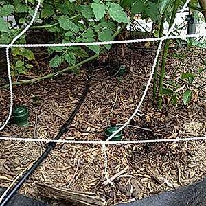 Blumat TROPF Medium Deluxe Irrigation Kit (12 Pack), Water Up to 12 Plants | Automatic Watering System | Garden, Patio, Hanging Baskets, Raised Bed, Greenhouse | Sustainable Outdoor System