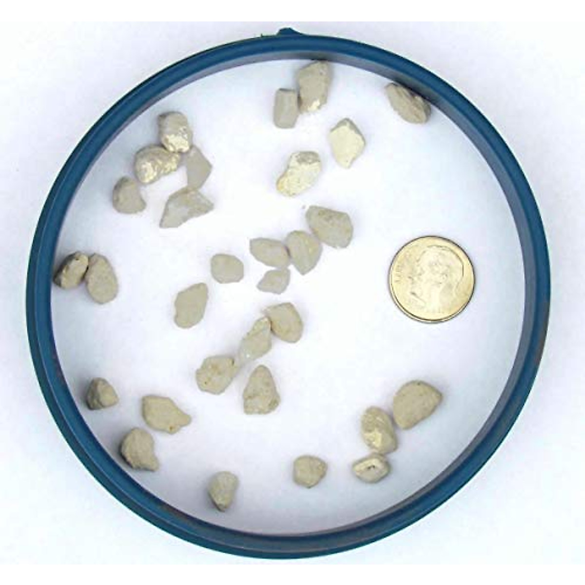 Bonsai Jack 1/4 inch Horticultural Pumice Soil Amendment for Cactus and Bonsai (2 Dry Quarts)