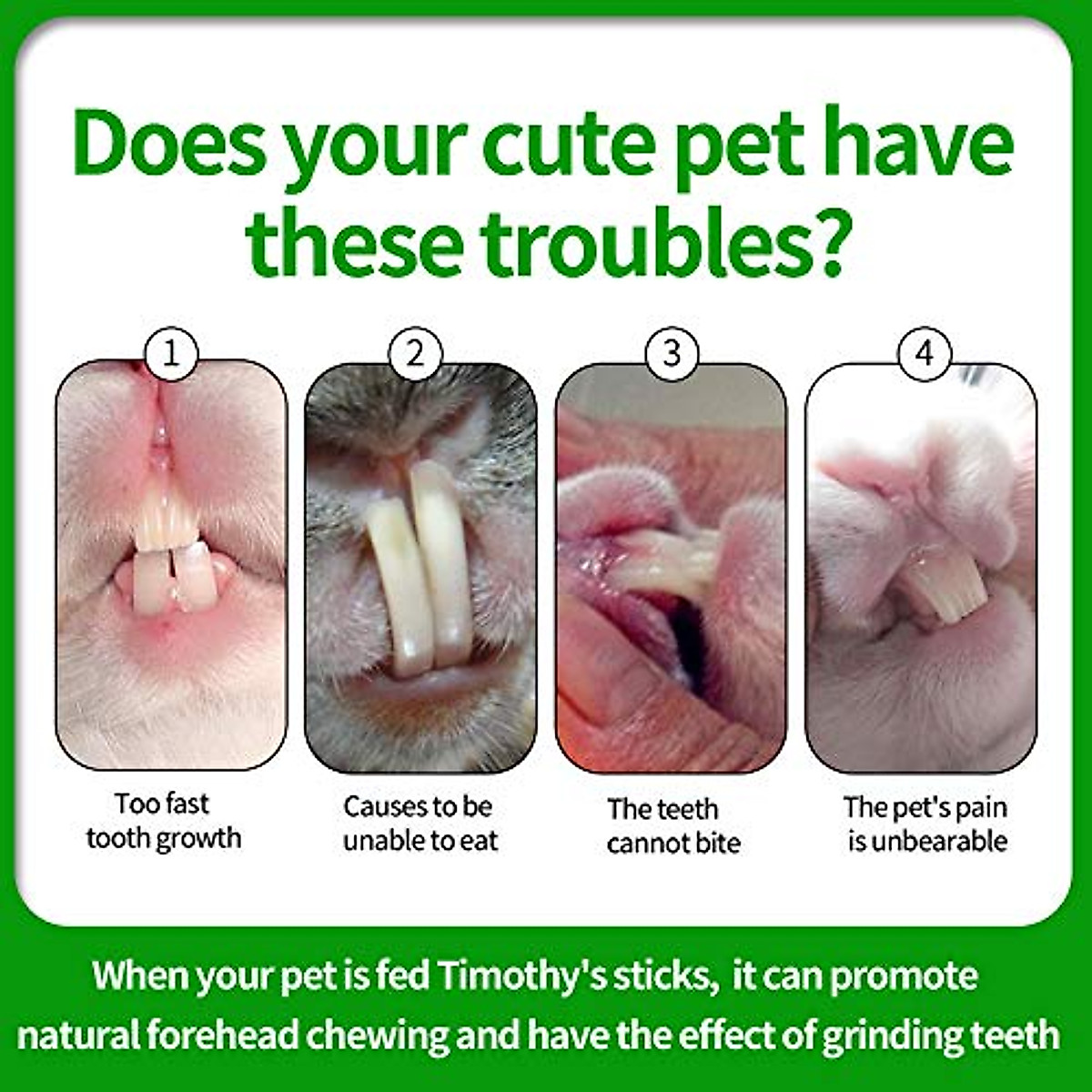 NC Timothy Hay Sticks for Rabbits Guinea Pig Hamsters Chinchilla Bunny Chew Toys for Teeth Treats Accessories