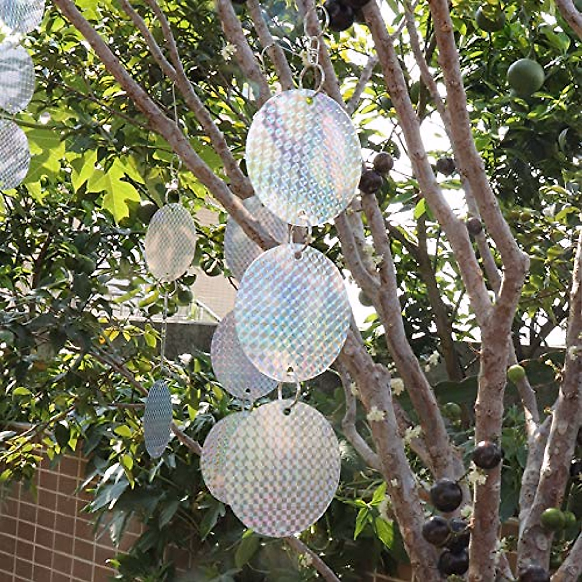 Bird Scare Devices,Woodpecker Outdoor Reflective Discs-Reflector ...