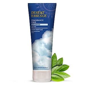 Desert Essence Fragrance Free Shampoo - Pure - 8 Fl Ounce - Pack of 3 - Unscented - Gloss & Shine - Strengthens Hair - Soft & Revitalized - Green Tea - Vitamins & Minerals - Jojoba Oil