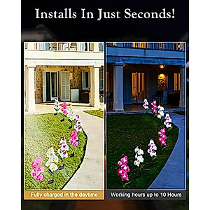 3 Pack Solar Garden Lights, Newest Version Solar Lights Outdoor Decorative, Flower Lights for Yard, Garden Decoration, Christmas Decoration Outdoor Yard