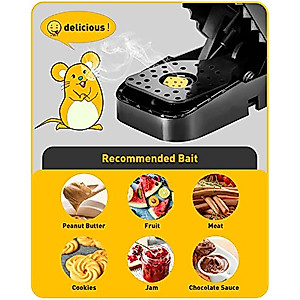 Mouse Traps 12-Pack - for House Indoor Outdoor, Small Mice Traps for House Indoor, Reusable Mousetrap Quick Effective Mouse Catcher for Home