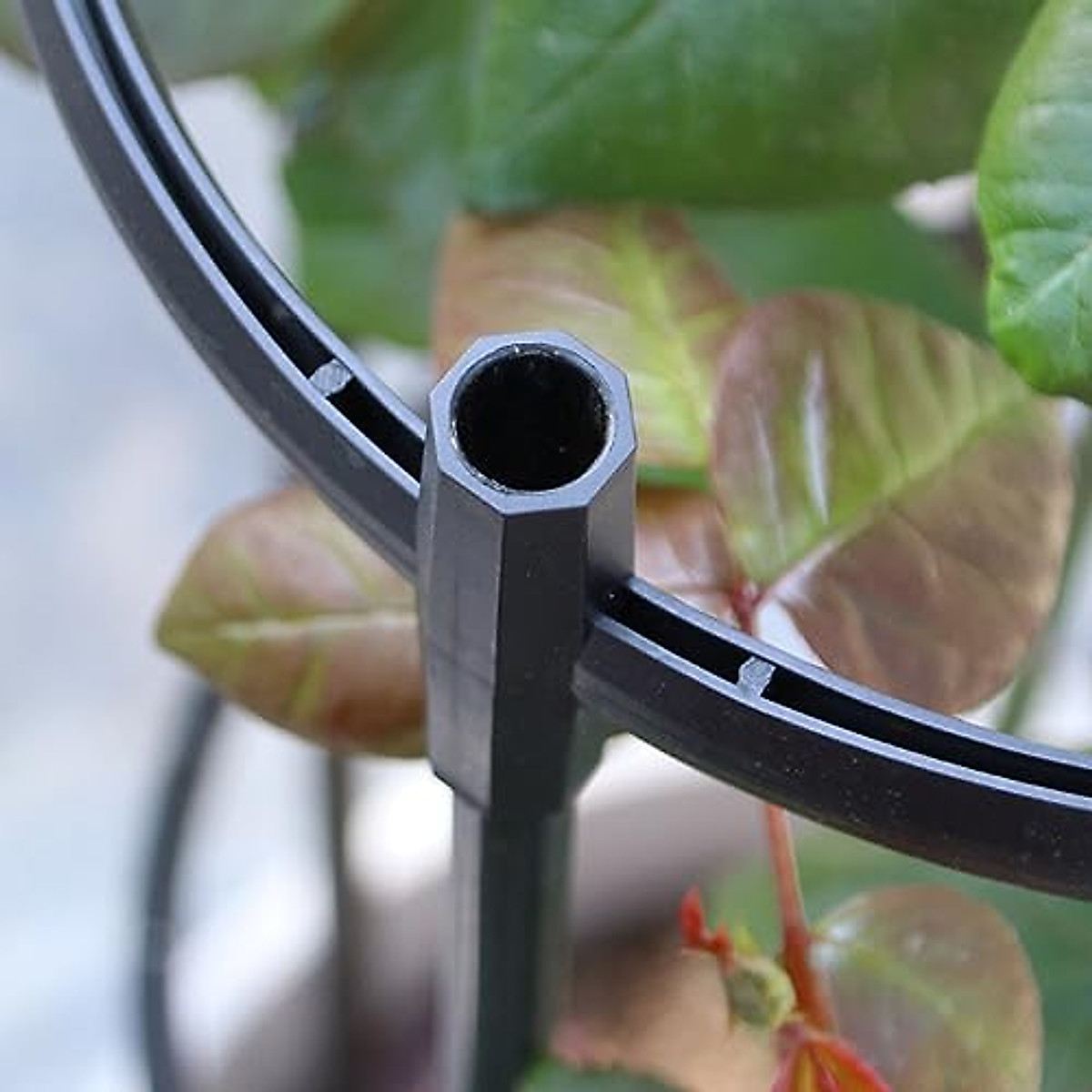 Climbing Vine Rack Rose Trellis Outdoor 120cm Home for Garden Balcony Durable Clematis Plants Plant Support Frame