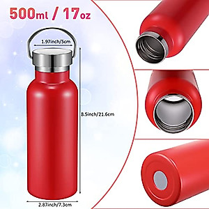 Mimorou 10 Pcs 17 oz Stainless Steel Sports Water Bottle Insulated Reusable Water Bottles with Handle Metal Water. Bottle for Hikers Gift, 10 Colors