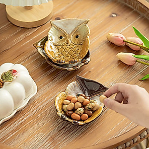 YINYUEDAO Snack Plate, Owl Shape, Ceramic Material, Used to Hold Snacks or Appetizers, Exquisite and Lovely Ceramic Ornaments, Holiday Theme, Gift Selection, Set of 4