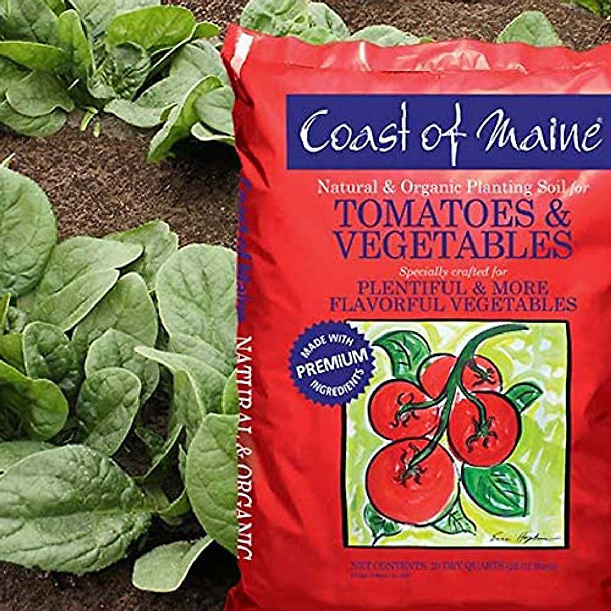 Coast of Maine Tomatoes and Veggies, 20qt (Pack of 2) Organic and Natural Planting Soil, Crafted for Vegetable Gardens and Organic Growers