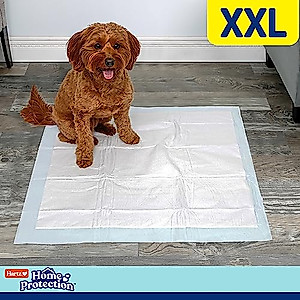 Hartz Home Protection Mountain Fresh Scent Odor Eliminating Dog Pads, XXL, 20 ct