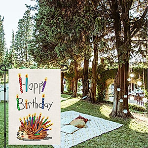 Happy Birthday Garden Flag 12x18 Inch Vertical Double Sided Yard Banner Cartoon Outdoor Decor Signs Birthday Party DF084