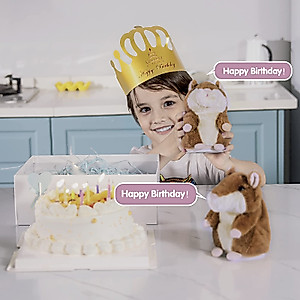 Homily Talking Hamster, Repeats What You Say Plush Animal Toy Electronic Hamster Mouse for Boys, Girls & Baby Gift