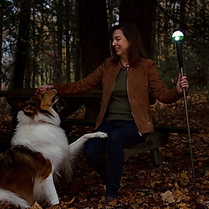 WayLight Multi-Functional Camping LED Light and Trekking Pole