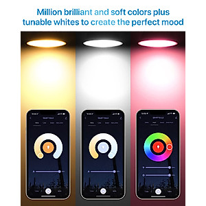ORALUCE Smart BR30 Bulb, LED Flood Light Bulbs, Works with Alexa Google Assistant, 12W 100W Equivalent, 1280 Lumens, RGBCW 2700-6500K Color Changing Recessed Light Bulbs for Cans, E26 Base, 4 Pack