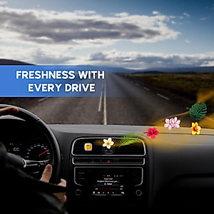 Air Jungles Hawaiian Scent Car Air Freshener Clip, 6 Car Freshener Vent Clips, 4ml Each, Long Lasting , Up to 180 Days Refresher Odor Eliminator