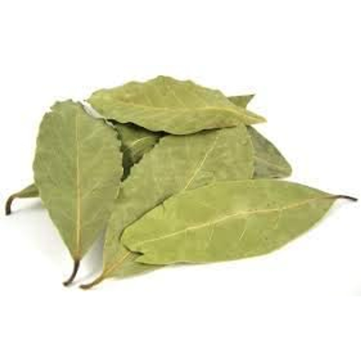 Regal Whole Bay Leaves Spice - Dried Bay Leaf Herb to Add Strong And Tangy Flavor to Your Dishes ( Laurel and Bay Leaves 1.5 oz Small Container for Cooking and Seasoning Needs)