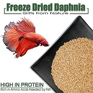 Freeze Dried Daphnia Fish Food for Betta, Neon, Guppy, Cichlid, Catfish and All Tropical Fish