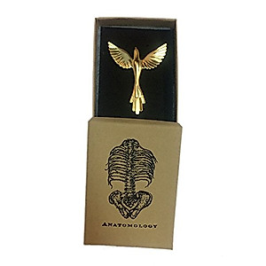 Phoenix Lapel Pin Rise Again Gift of Encouragement