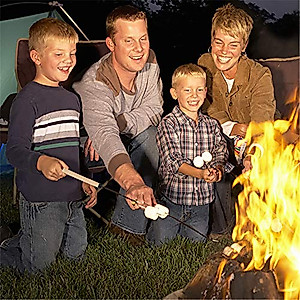 Mluchee 8Pack Marshmallow Roasting Sticks Smores Skewers for Fire Pit 32inch Telescoping Sausage BBQ Hot Dog Forks Portable Carrying Bag for Grill Campfire