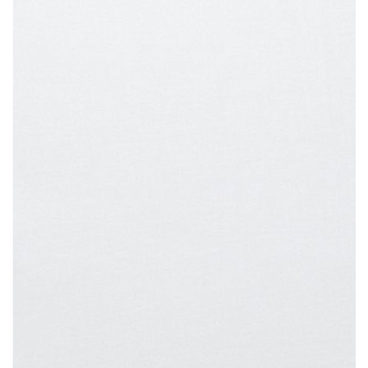 FRESH IDEAS Bedding Eyelet Ruffled Pillow Sham Euro, White