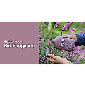 Arber Organic Liquid Concentrate for Indoor and House Plants | Natural Gardening (Organic Fungicide)