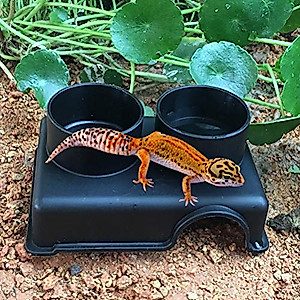 POPETPOP Panda Bear Stuffed Animal Reptile Hideaway,3-in-1 Reptile Hide with Water and Food Bowls-Reptile Dish Plastic for Snake Spider Lizard Scorpion Observation Box Stuffed Animals