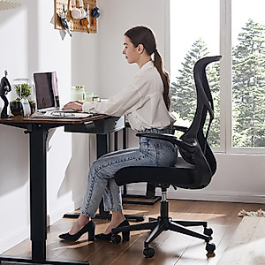 Office Chair, Ergonomic Desk Chair Computer Chair High Back Mesh Chair, Executive Home Office Chair with Flip-up Armrests, Lumbar Support, Backrest for Home Office