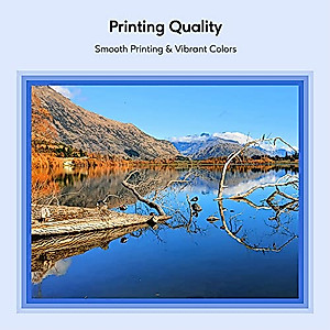 LC3013 High Yield 4 PKS Compatible Ink Cartridge Replacement for Brother LC3013 Ink Cartridges (Black, Cyan, Magenta, Yellow), Use for MFC-J491DW MFC-J497DW MFC-J690DW MFC-J895DW Printer