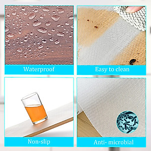 DTTEOME Shelf Liner, Non Adhesive Kitchen Cabinet Liner Drawer Mats, Easy to Cut Durable Non Slip Washable Oil Proof Pad for Fridge, Drawer, Pantry, Table, Shelves (Clear, 17.5 x 59 inch)