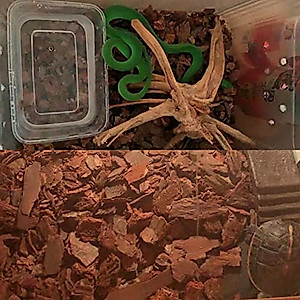 BNOSDM Reptile Bark Bedding Lizard Natural Wood Granule Substrate Clean Breeding and Bedding Flooring for Lizard Bearded Dragon Gecko Chameleon Tortoise