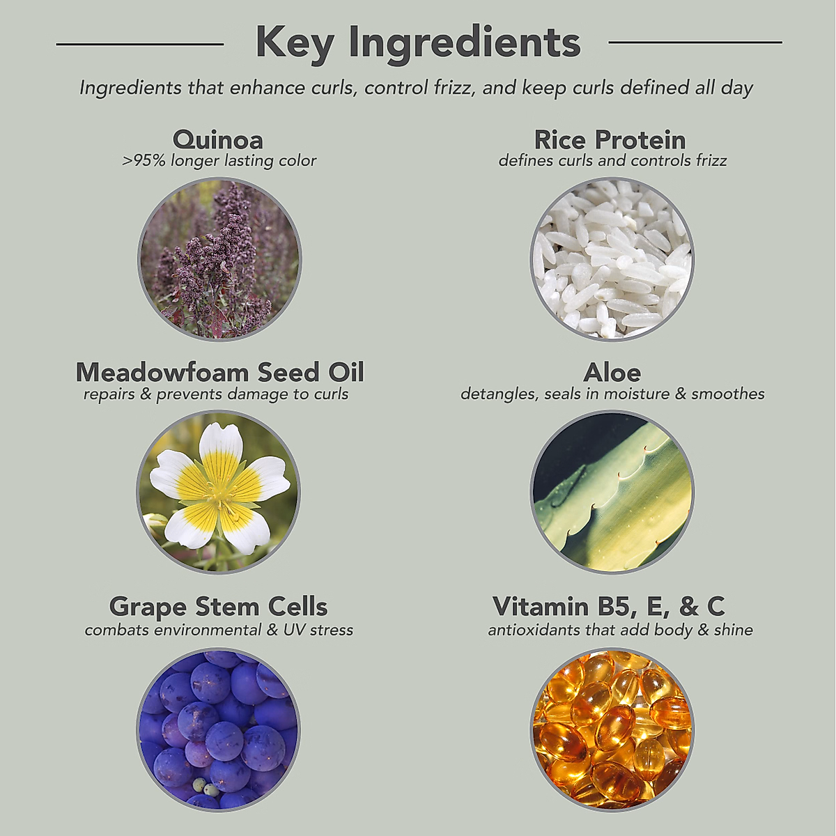 Framesi Color Lover Curl Define Shampoo, 16.9 fl oz, Shampoo for Curly Hair with Quinoa and Aloe Vera, Color Treated Hair