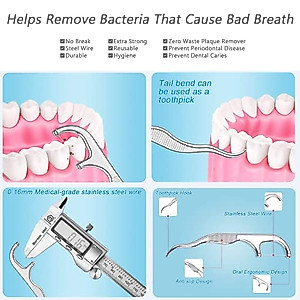 Toothpicks Pocket Set, Dental Floss Picks Kit Reusable, Stainless Steel Teeth Cleaning Tools, Tooth Picker Oral Hygiene Travel (2 Set)