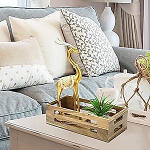 Reviaras Wooden Tissue Box Cover, Tissue Box Holder with Slide-Out Bottom, (Acacia) (Wood)