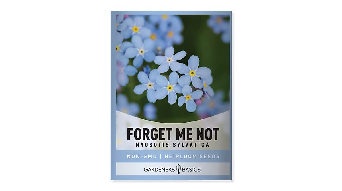 Forget Me Not Seeds for Memorial & Garden – Beautiful Blue Perennial