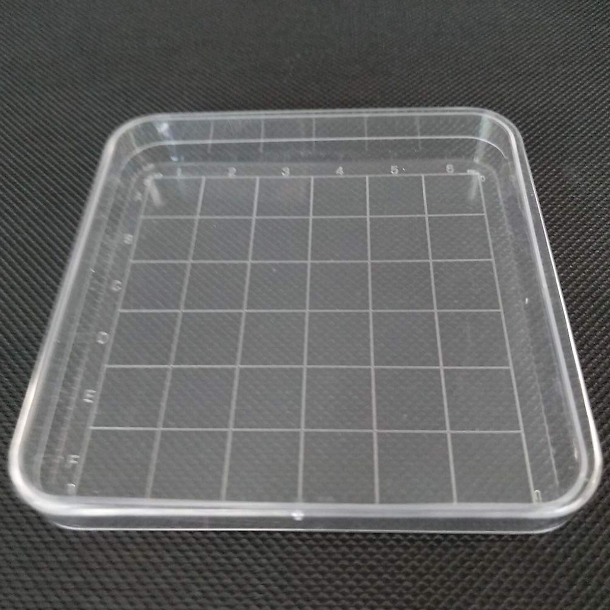 Scicalife 10 Sets Square Petri Dish with Lids, Plastic Material, Container for School Lab Science Experiment