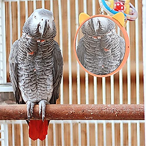 POPETPOP 2Pcs Bird Mirror Parrot Hanging Swing Mirror Toys Bird Interactive Playing Toy for Chicken Cockatiel Parakeets Canaries Budgie Cage Accessories