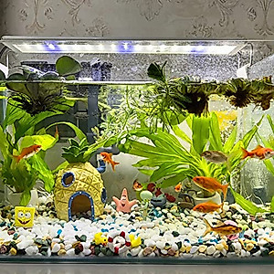 Mini White Rocks Stone Decorative Pebbles Vase Fillers Succulents Cactus Bonsai DIY Plant Rock Garden Outdoor Indoor Gravel for Aquarium, Fish Tank, Terrarium, Fairy Gardening, Top Dressing 5-lbs