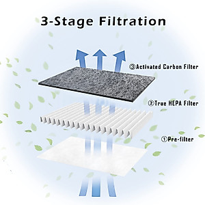 Air Purifier Filters Replacements,True HEPA Premium Grade Filters for Dyson Tower Purifier Pure Cool Link TP01,TP02,TP03,AM11,BP01 Models,Compare to Part # 968126-03 2-PACK