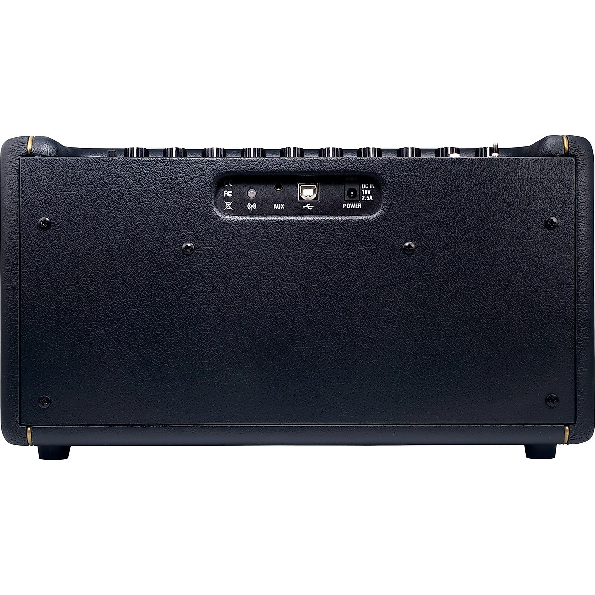 Positive Grid Spark Guitar Amplifier + Traveler Bag Bundle - Electric, Bass and Acoustic Guitar 40-Watt Combo Amp Including Spark Mobile App