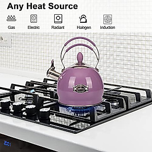 Whistling Tea Kettle Stainless Steel Teapot, Teakettle for Stovetop Induction Stove Top, Fast Boiling Heat Water Tea Pot 2.6 Quart