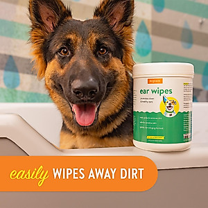 Ear Wipes for Dogs and Pets | 160 Count Convenient Ear Cleaning Wipes | Non-Stinging, Gentle Wipes to Remove Dirt and Build-Up | Promotes Clean and Healthy Ears