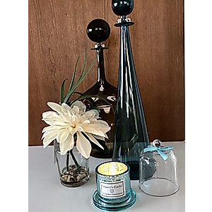 Cruiser’s Caché | Parfumerie Collection | Sri Lankan Lemongrass | Scented Cloche or Dome Candle Jar | 4.2oz | 25hr Burn Time