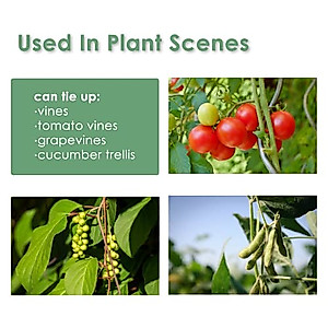 plantactic Garden Tie Green Tape, Plant Supports, Gentle On Plants (32.8ft ×1/2 inch, 1 roll, Green)