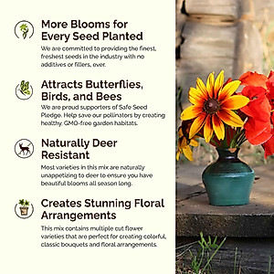 Eden Brothers Georgia Wildflower Mixed Seeds for Planting, 1/4 lb, 120,000+ Seeds with Cornflower, Cosmos, African Daisy | Attracts Pollinators, Plant in Spring or Fall, Zones 3, 4, 5, 6, 7, 8, 9, 10