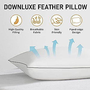 downluxe Premium Down Feather Pillow Luxury Hotel Collection - Bed Pillow for Sleeping with Silver Piped Edges, King Size (20"×36", Pack of 2)