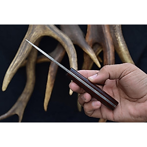 Knives Ranch 7" Fixed Blade EDC Knife with Sheath - Damascus Steel Hunting Knife - Full Tang - Rosewood Handle - Horizontal Carry Leather Sheath Snug Fit (3056-IRW)