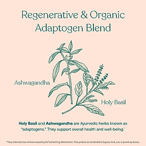 True Grace One Daily Women’s Multivitamin 40+ Fermented Minerals, Organic Adaptogens & Mushrooms Energy, Immune, Bone, Heart Support - Iron Free, Non-GMO, Gluten Free, Soy Free - 30 Vegan Tablets